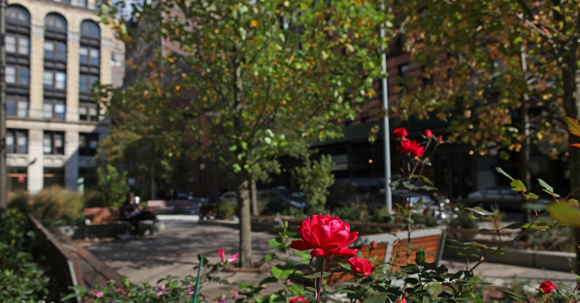 Courant Institute - Lobby Display